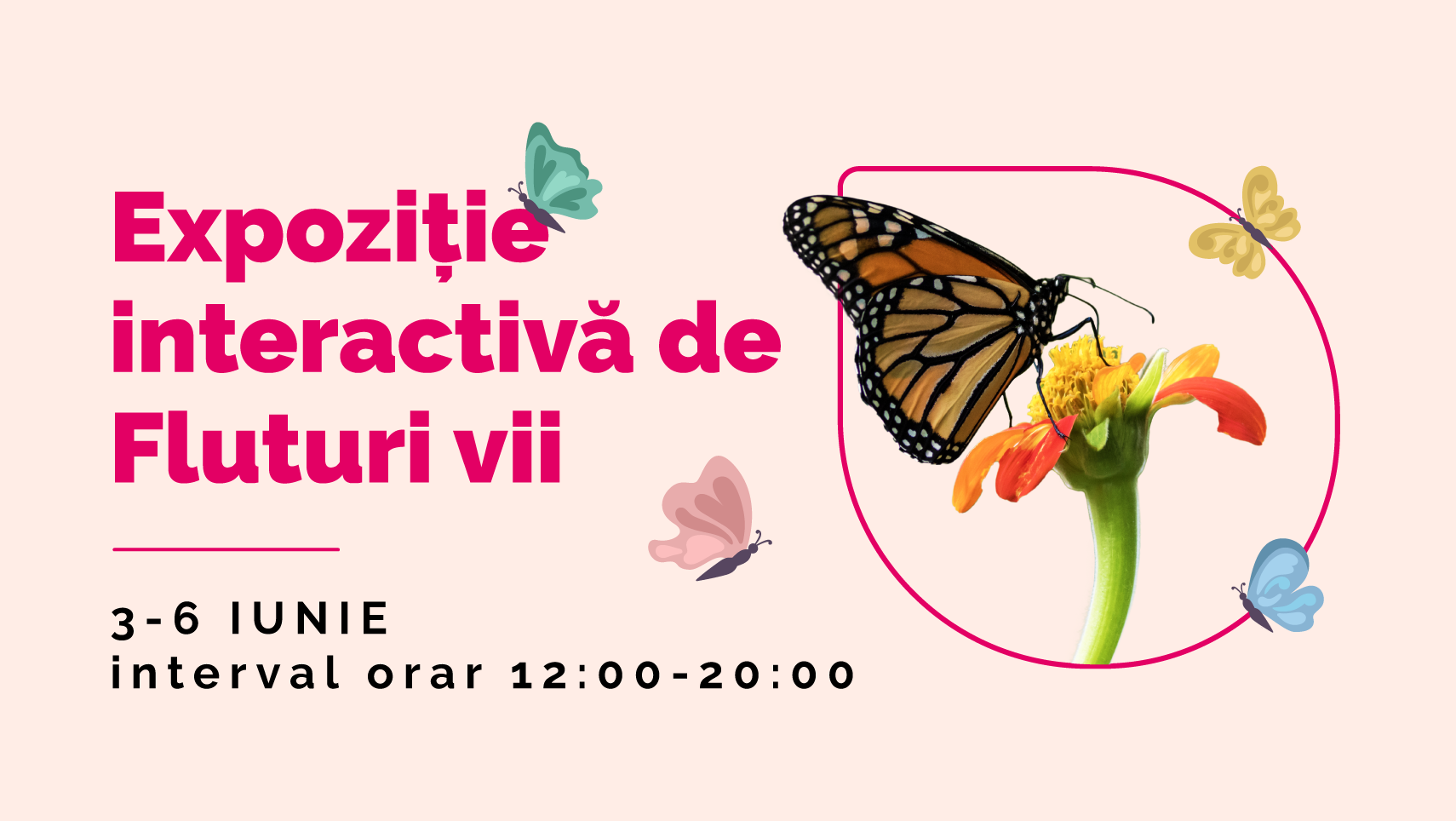 Expoziție Interactivă de Fluturi Vii - Roman - Roman